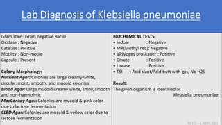 Identification of gram negative bacilli part 1 | PDF | Biological ...