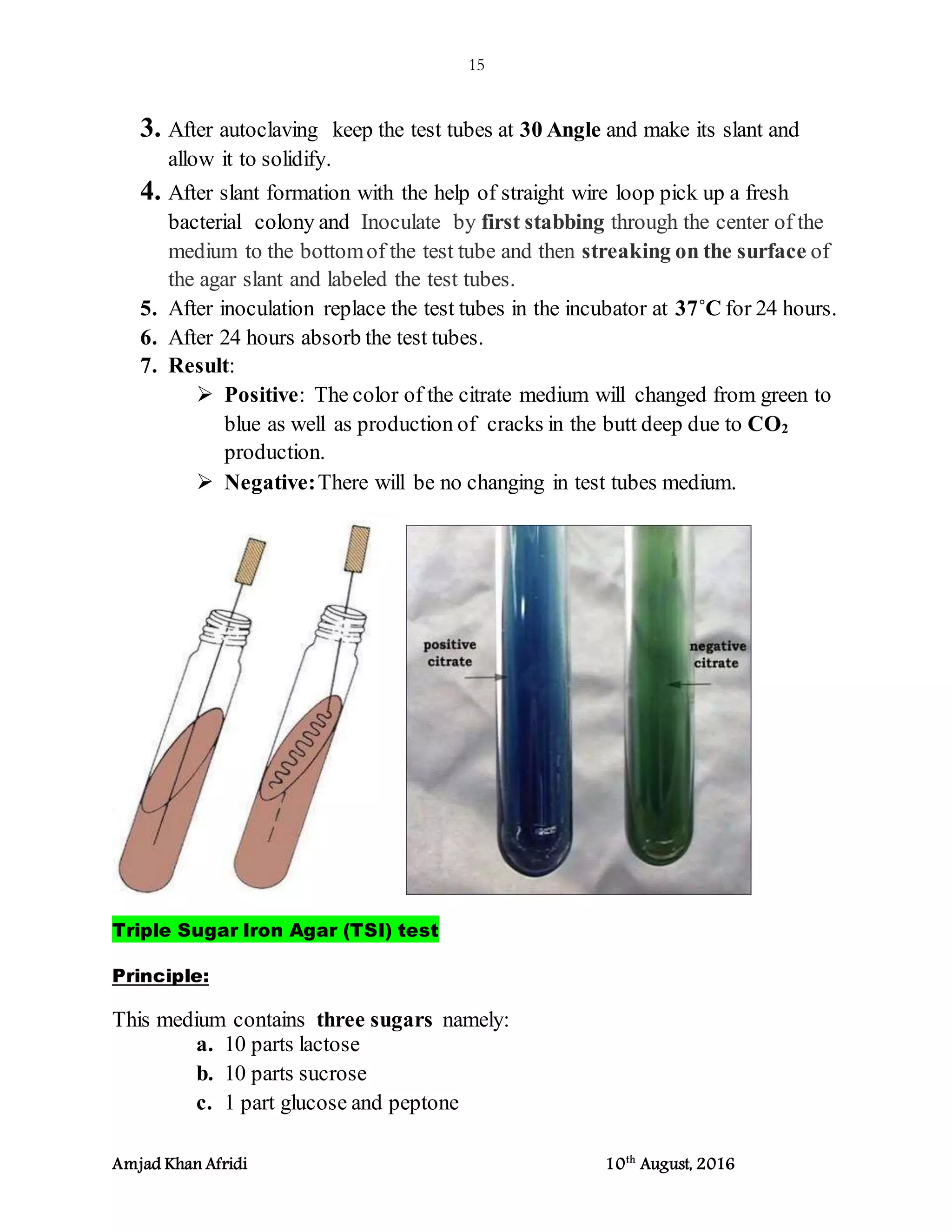Identification of gram positive and gram negative bacteria | PDF