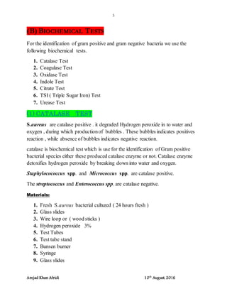 Identification of gram positive and gram negative bacteria | PDF