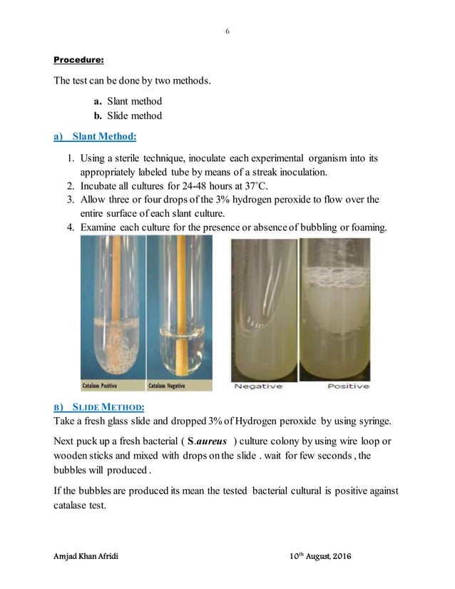 Identification of gram positive and gram negative bacteria | PDF