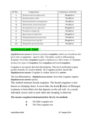Identification of gram positive and gram negative bacteria | PDF