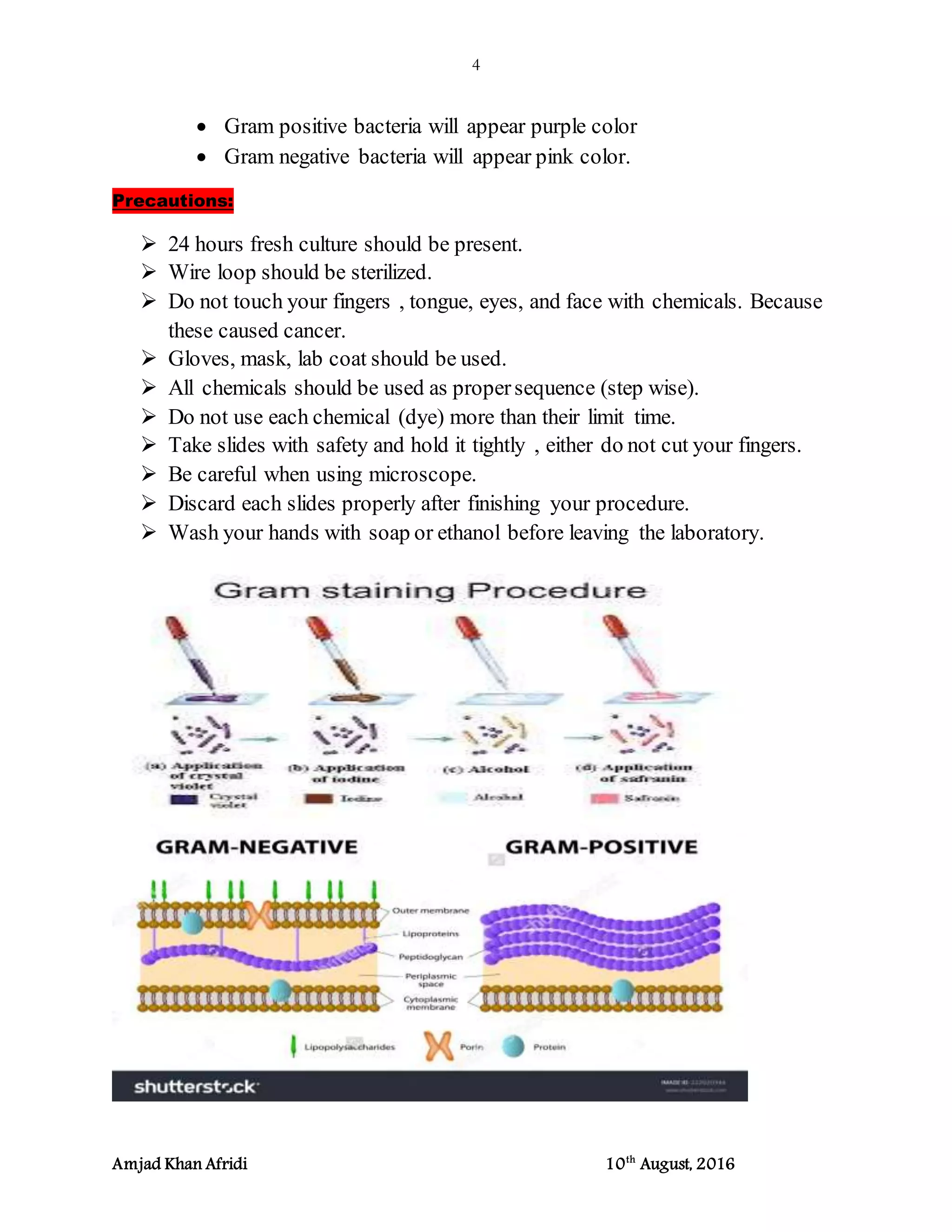 Identification of gram positive and gram negative bacteria | DOCX