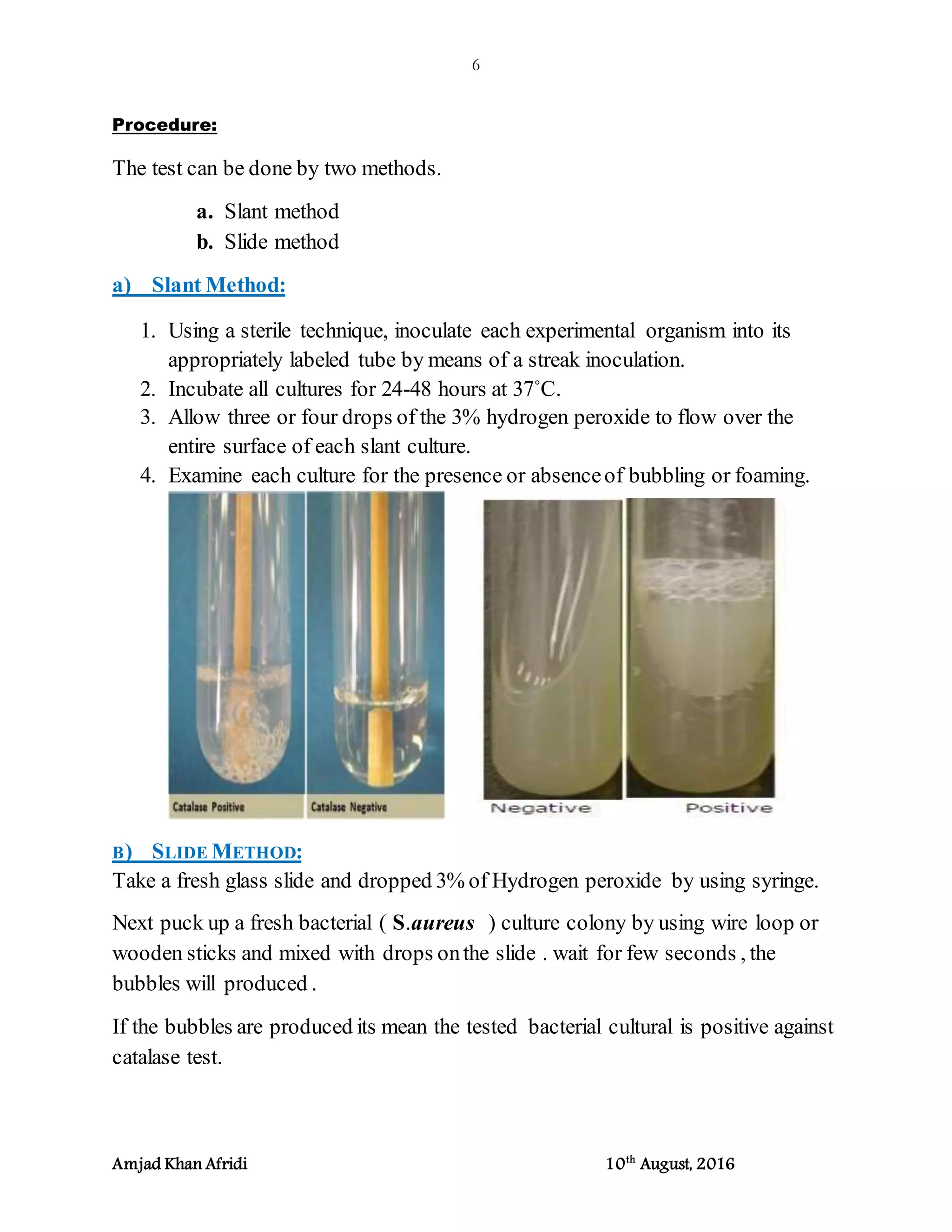 Identification of gram positive and gram negative bacteria | DOCX