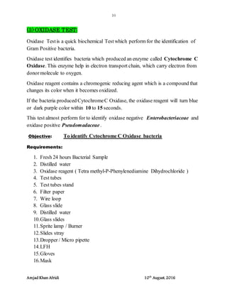 Identification of gram positive and gram negative bacteria | DOCX