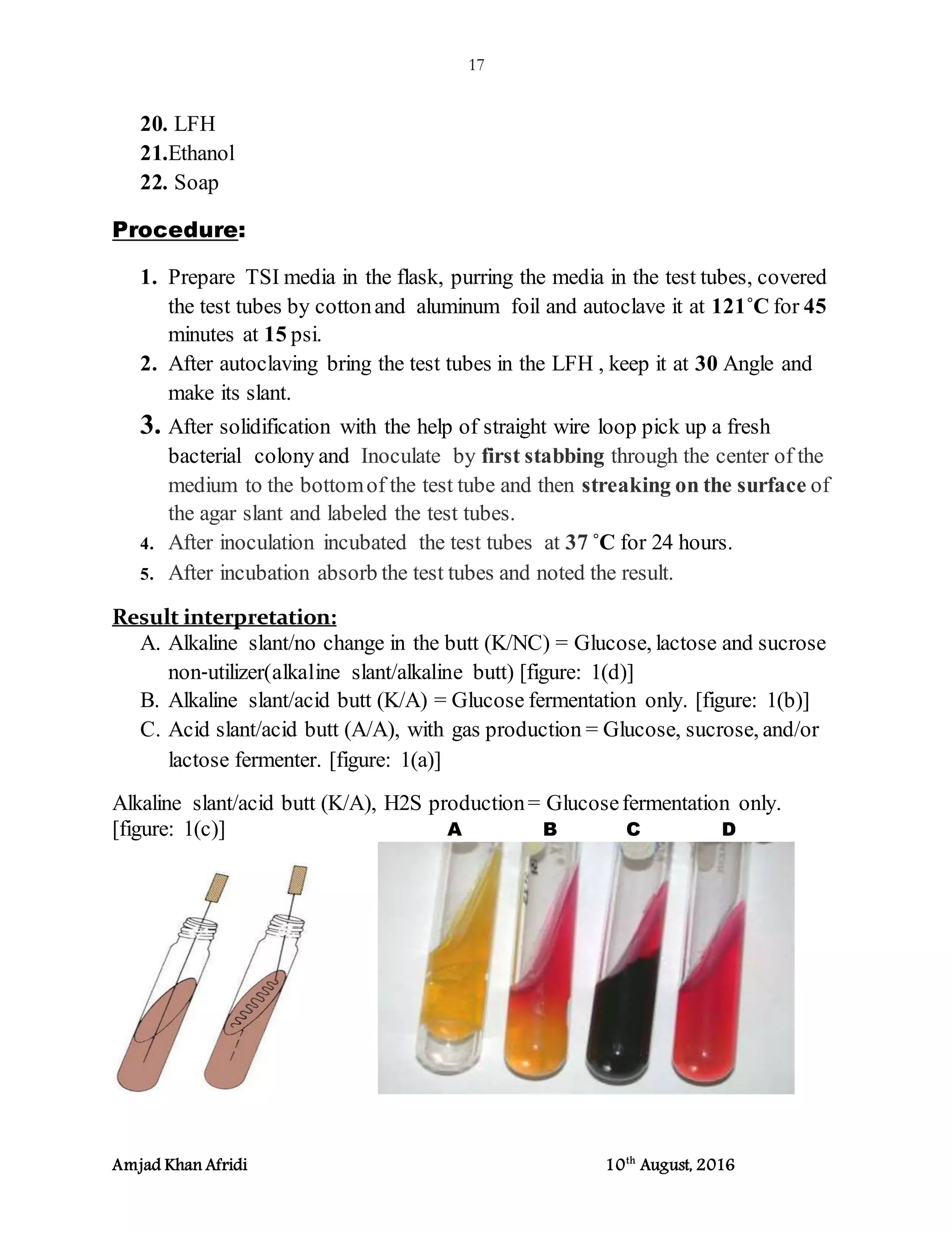 Identification of gram positive and gram negative bacteria | DOCX