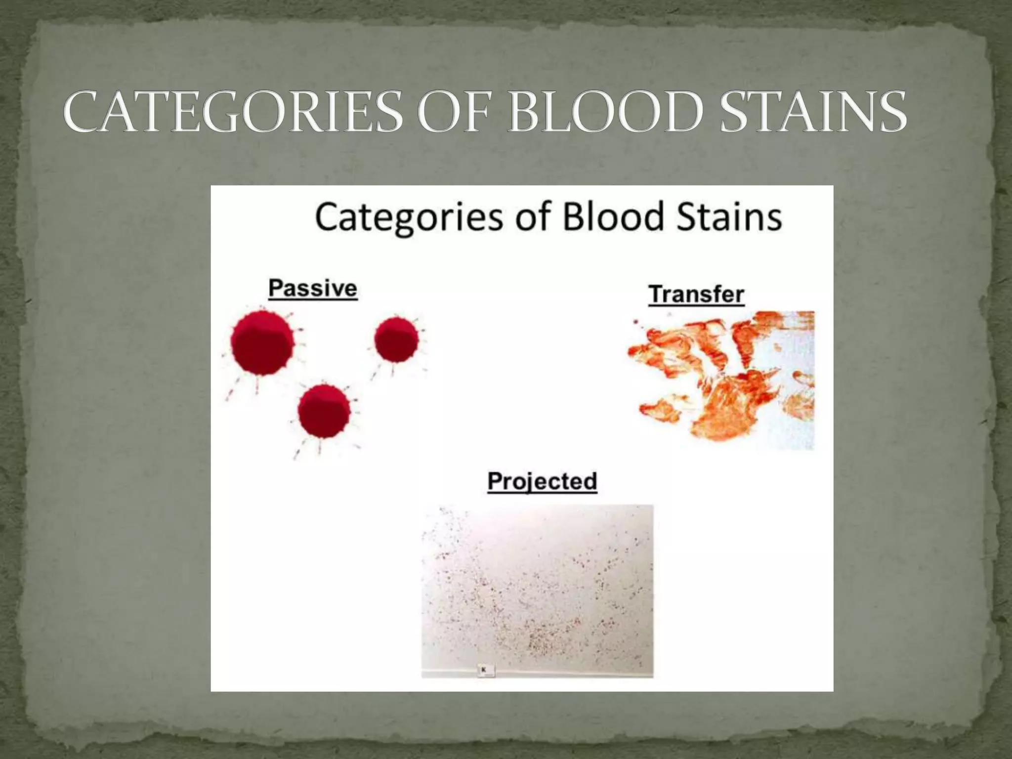 Identification of human and animal blood.pptx