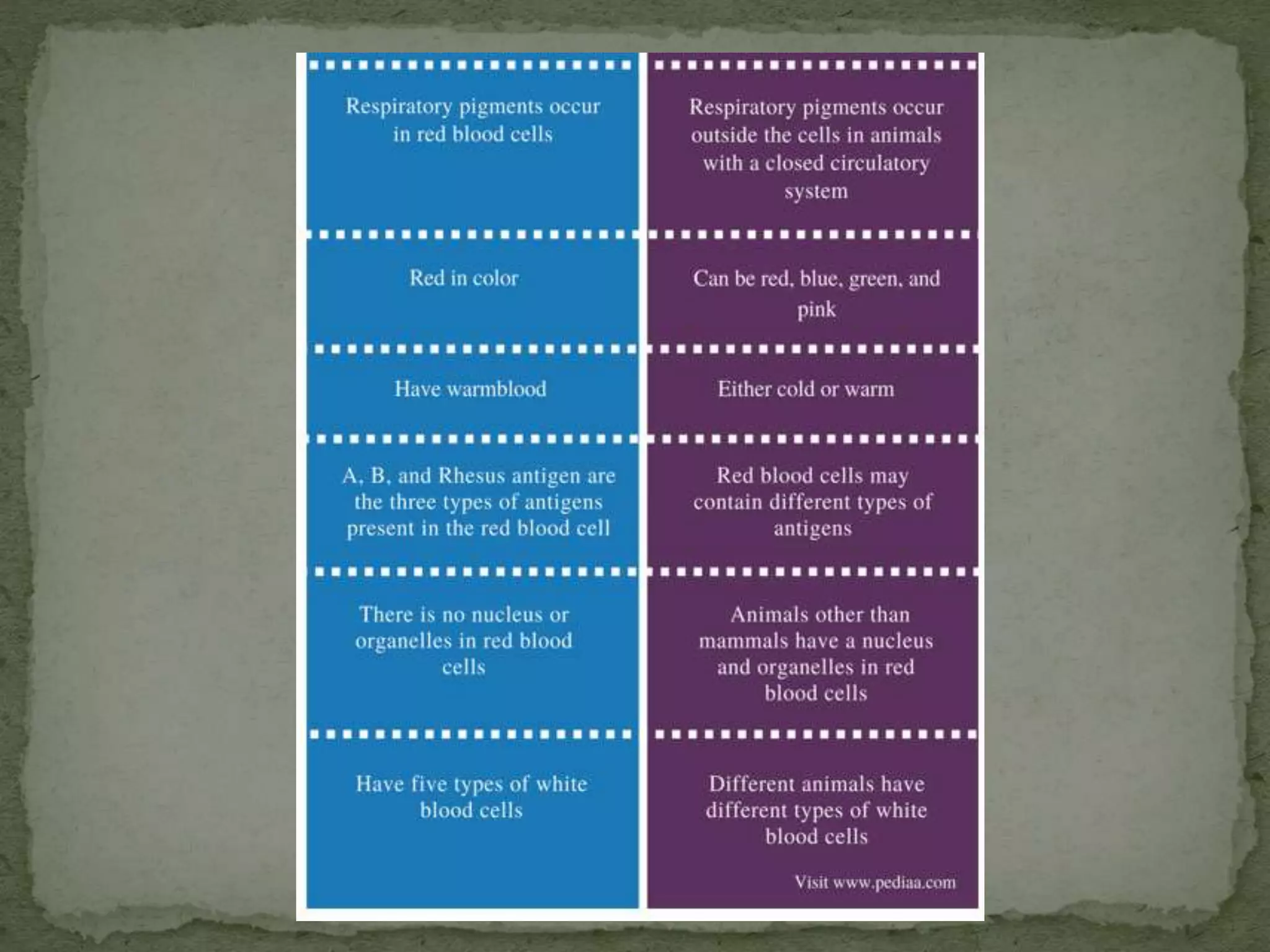 Identification of human and animal blood.pptx
