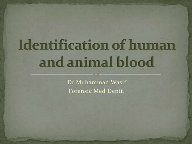 Identification of human and animal blood.pptx