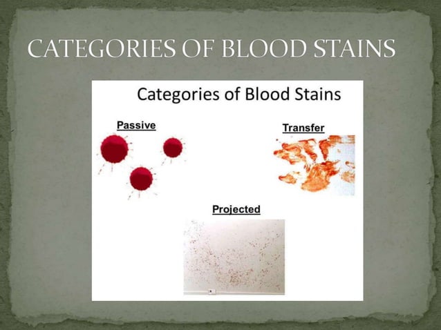 Identification of human and animal blood.pptx | Blood Disorders ...