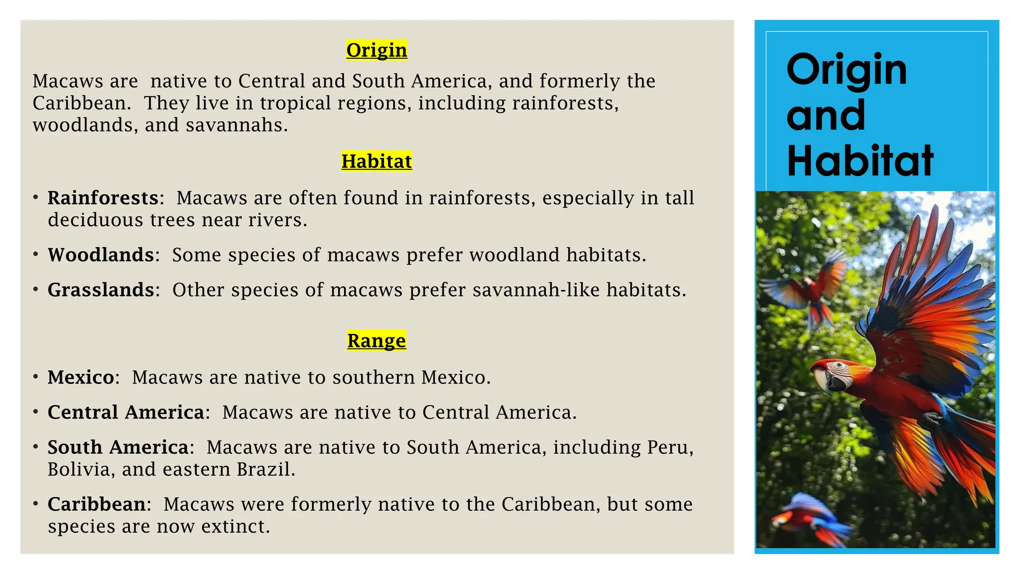 Identification of important breeds of pet birds.pptx