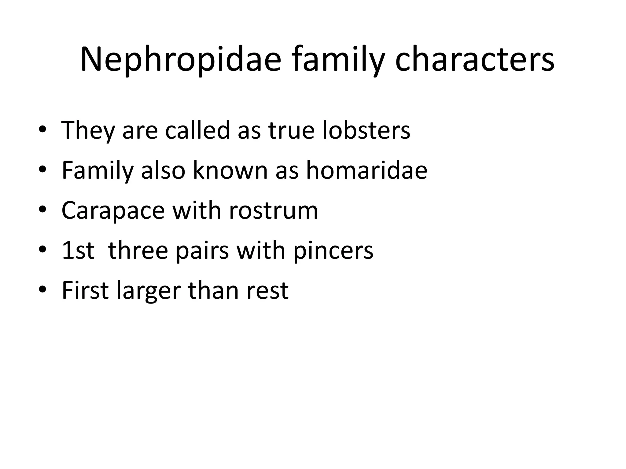 Identification of important lobsters | PPTX