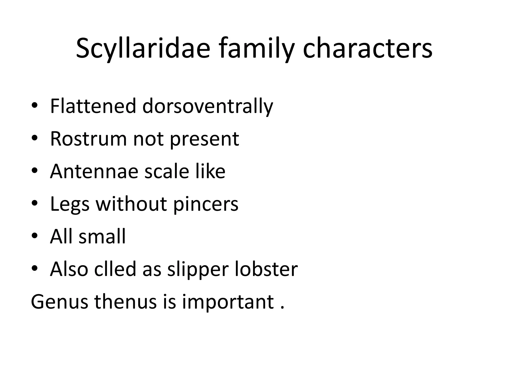 Identification of important lobsters | PPTX