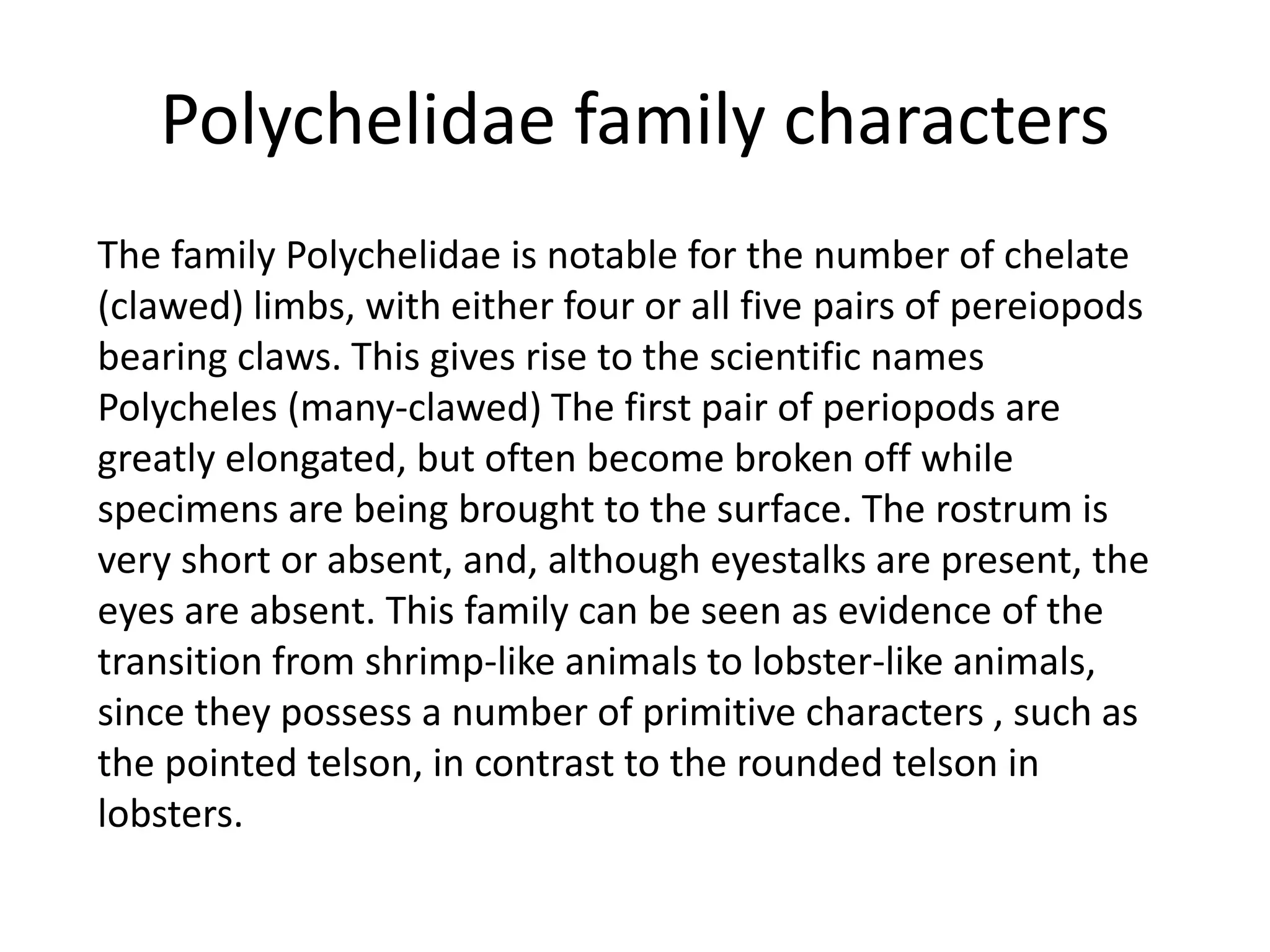 Identification of important lobsters | PPTX