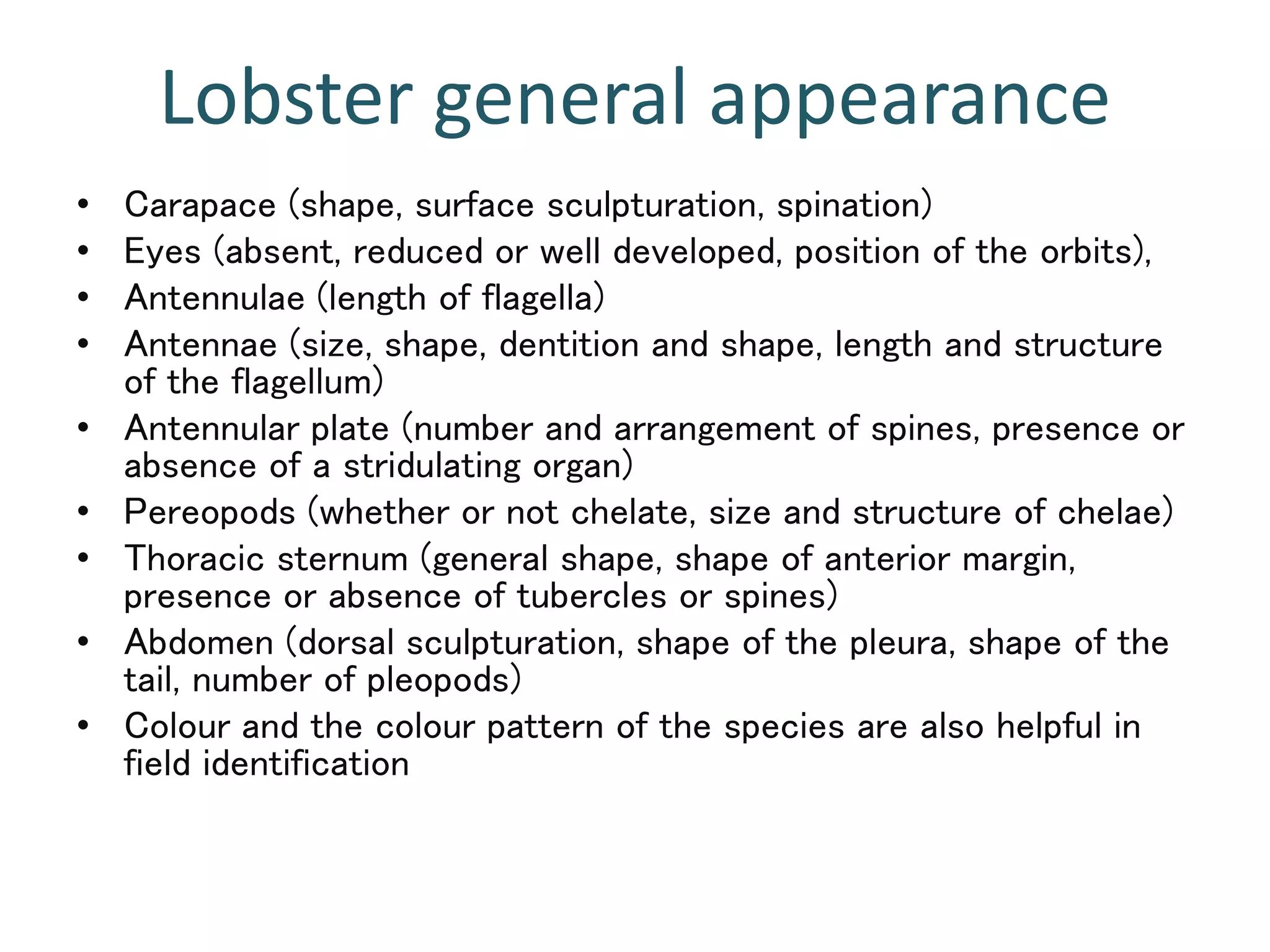Identification of important lobsters | PPTX