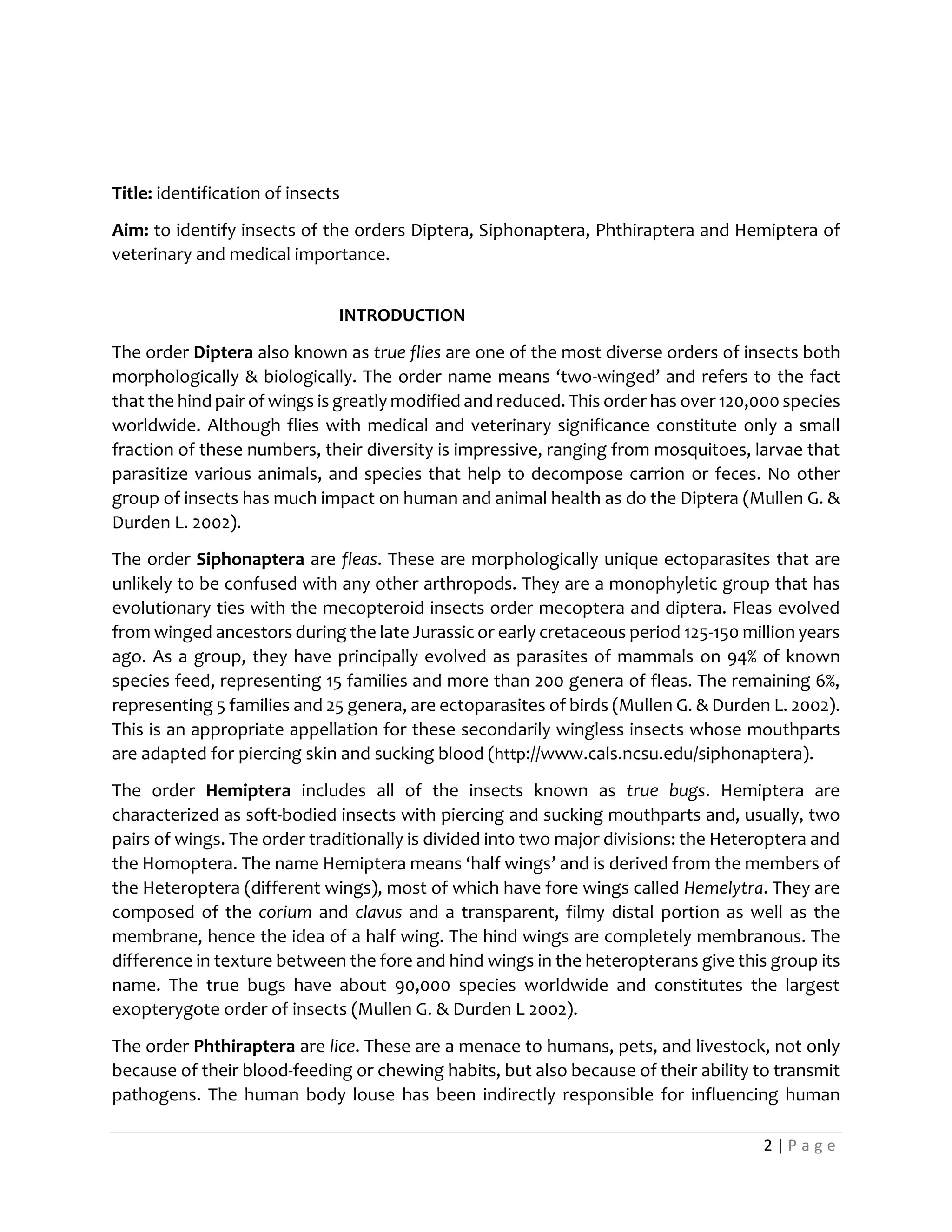 Identification of insects | DOCX