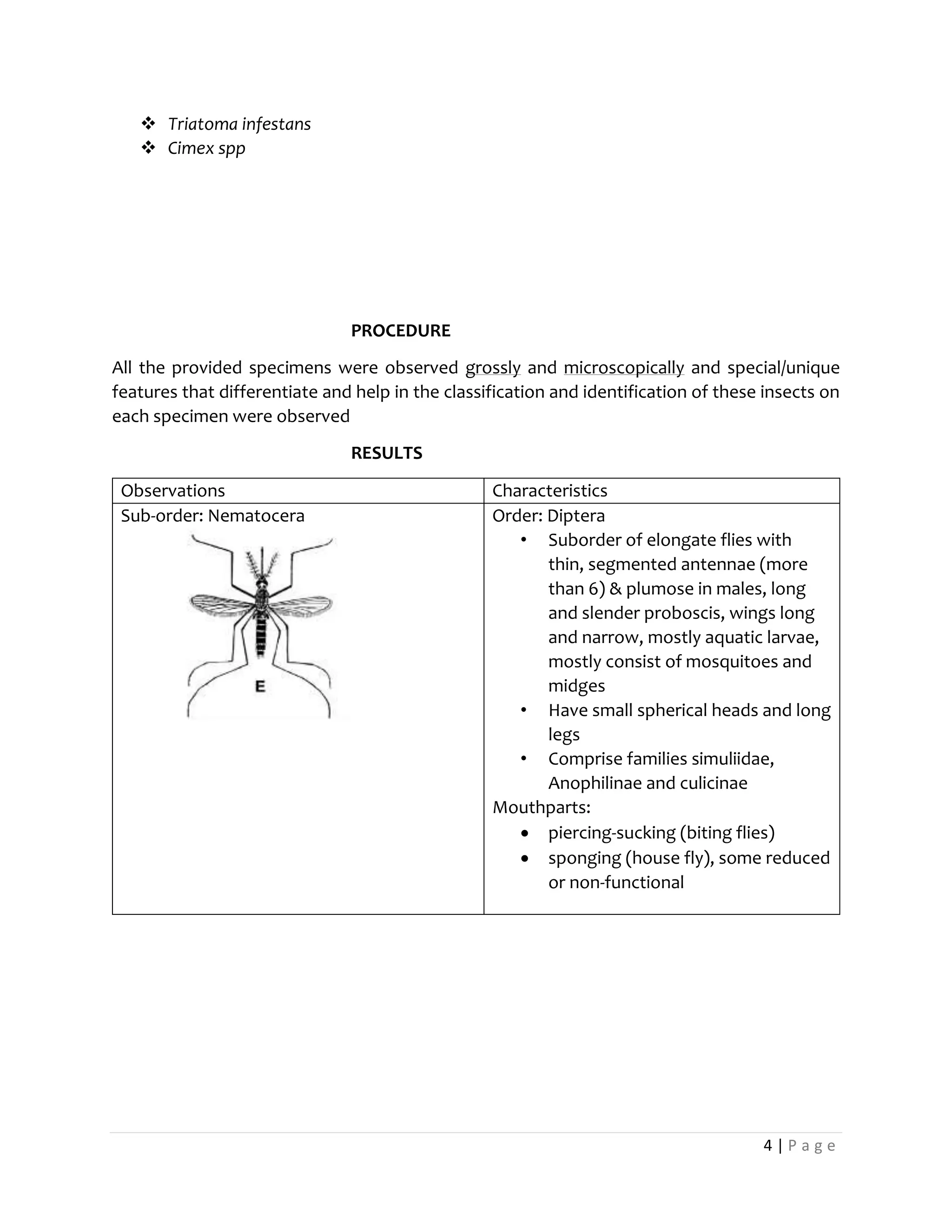 Identification of insects | DOCX