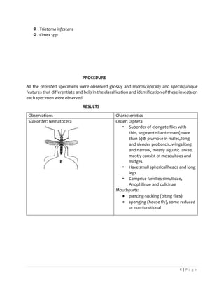Identification of insects | DOCX