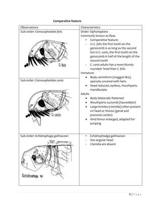 Identification of insects | DOCX