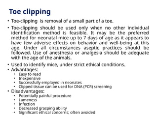 Identification of laboratory animals for animal studies.pptx