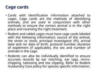 Identification of laboratory animals for animal studies.pptx