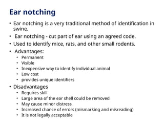 Identification of laboratory animals for animal studies.pptx