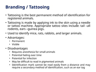 Identification of laboratory animals for animal studies.pptx