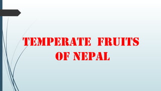 Identification of major, indigenous and underexploited fruits of Nepal ...