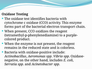IDENTIFICATION OF MICROORGANISMS (Methods for identifying microbes).pptx