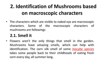 Identification of mushrooms based on macroscopic and microscopic | PPTX