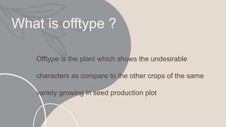 Identification of Offtype in cuccurbits ,.pptx