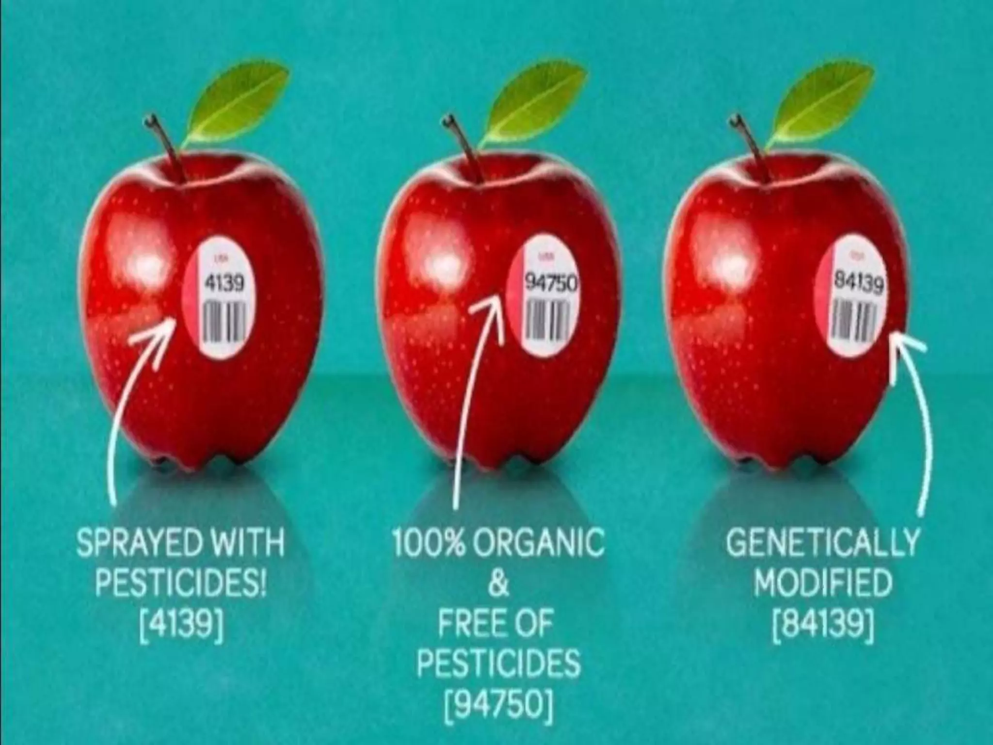 Identification of organic foods | PPTX