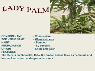 Identification of ornamentals | PPT