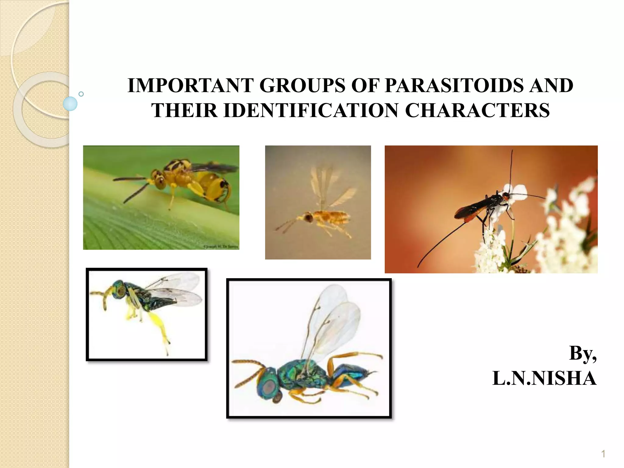 Identification of parasitoids ppt- ENTOMOLOGY | PPTX