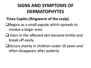 Identification of patients with dermatophytes | PPTX | Foot Health ...