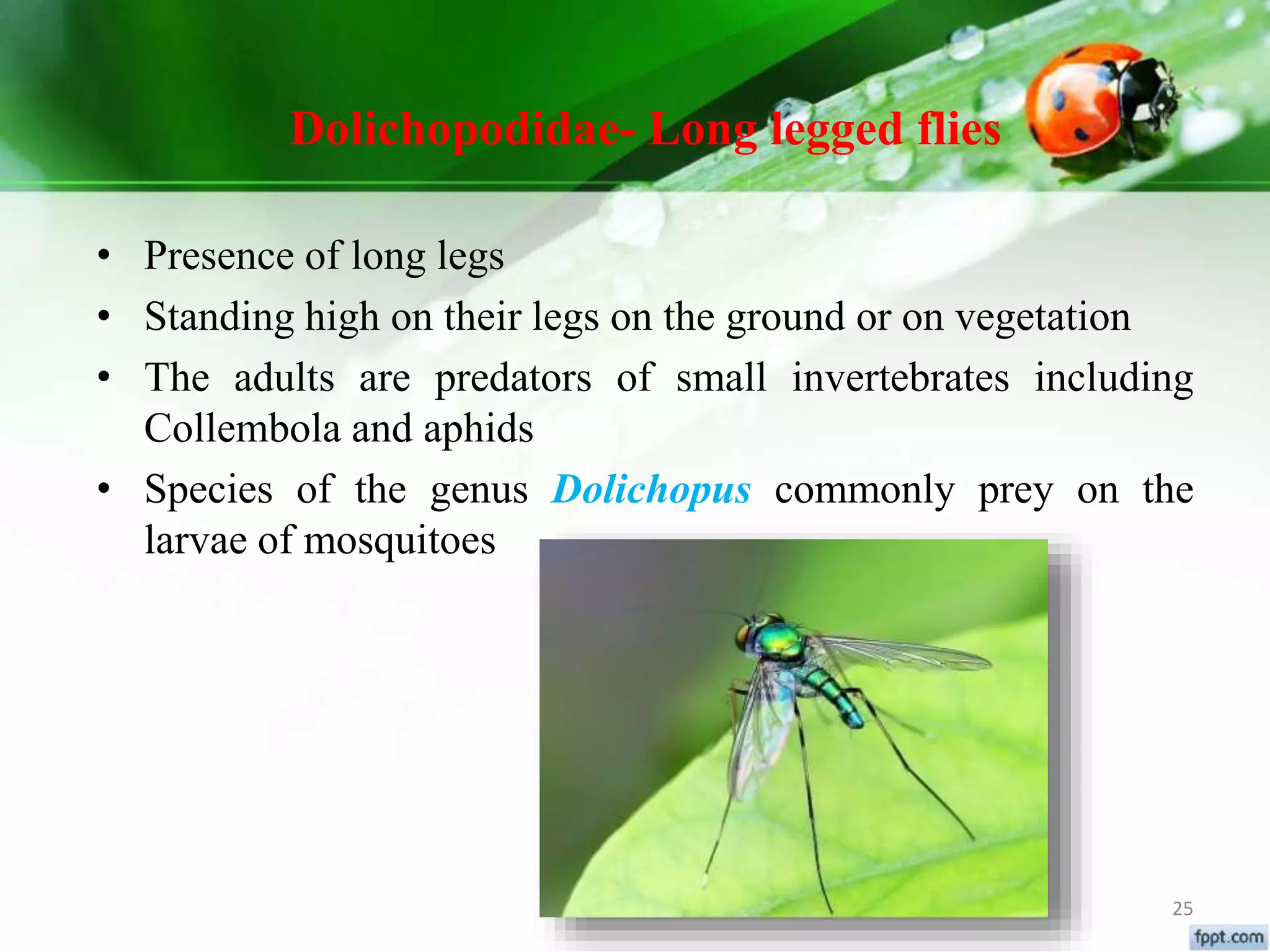 Identification of predators ppt | PPTX