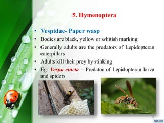 Identification of predators ppt | PPTX
