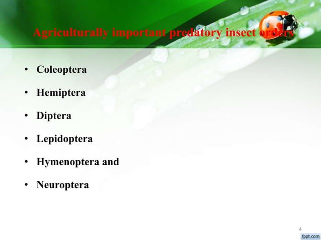 Identification of predators ppt | PPTX