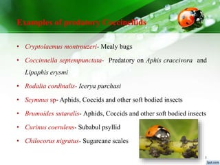Identification of predators ppt | PPTX