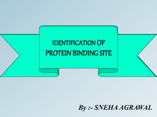 identification of protei binding site-1.pptx