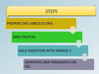 identification of protei binding site-1.pptx