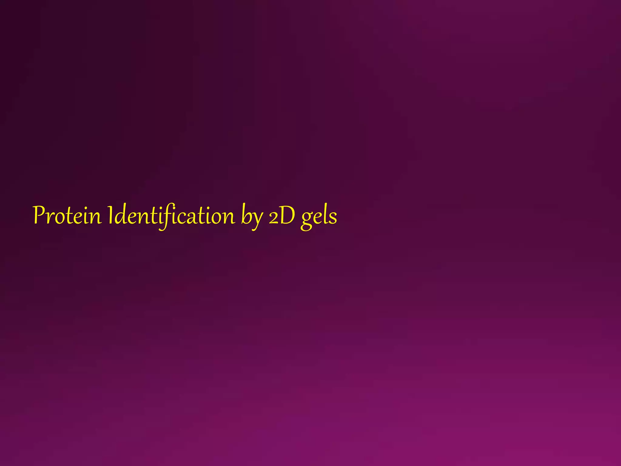 Identification of proteins by 2D gel | PPT
