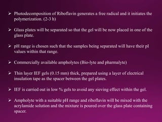 Identification of proteins by 2D gel | PPT