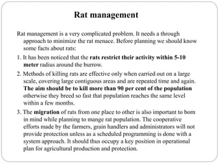 Identification of rats and mice and their management | PPTX ...