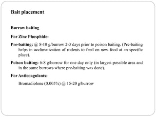 Identification of rats and mice and their management | PPTX ...