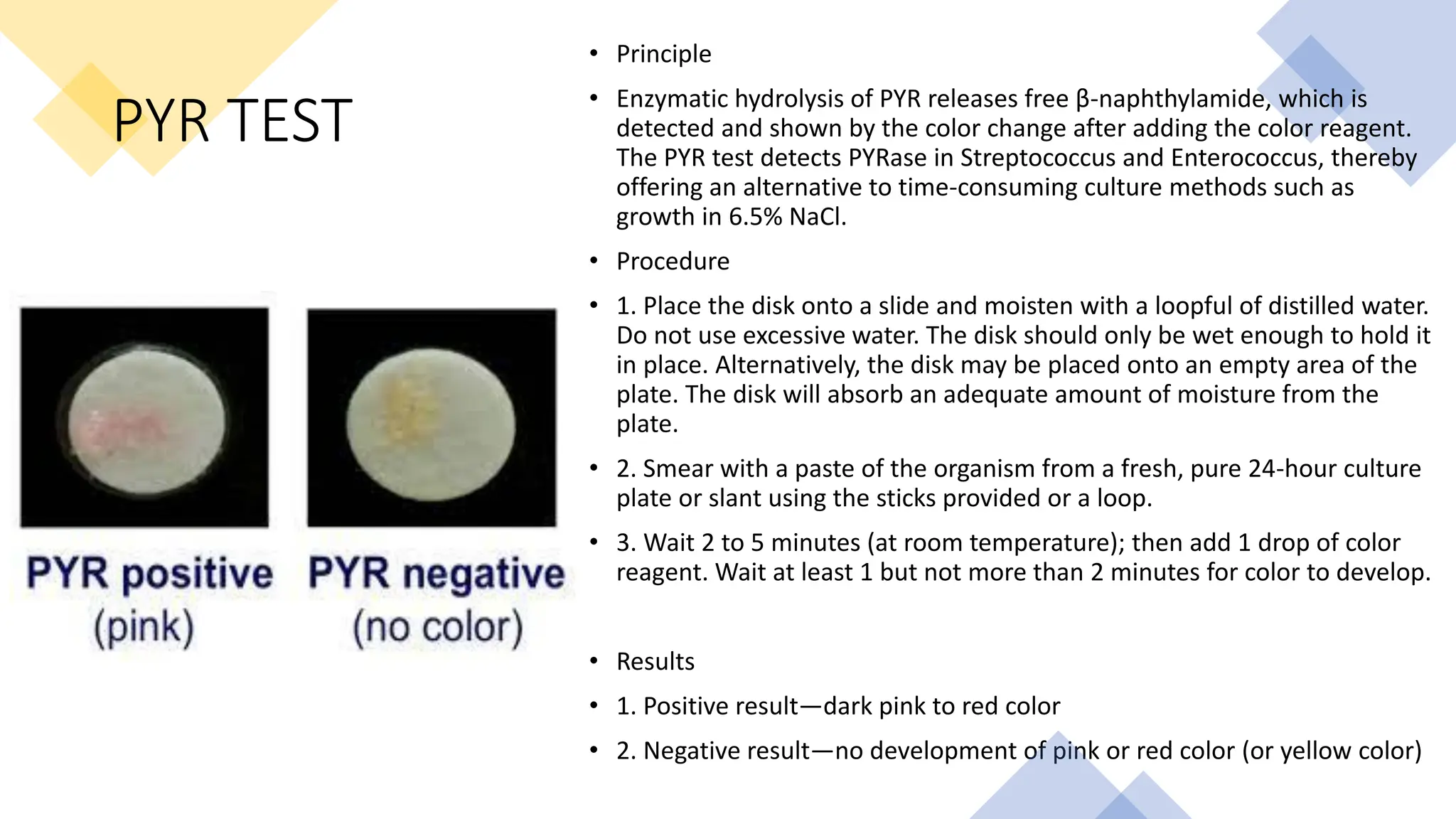 Identification of Staphylococcus and Streptococcus (1).pdf