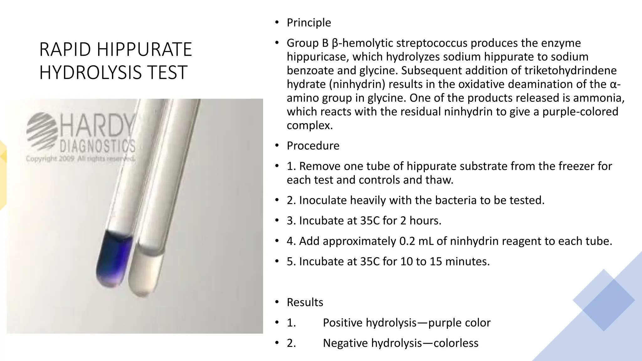 Identification of Staphylococcus and Streptococcus (1).pdf