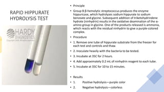 Identification of Staphylococcus and Streptococcus (1).pdf