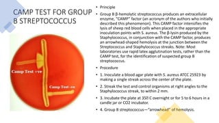 Identification of Staphylococcus and Streptococcus (1).pdf