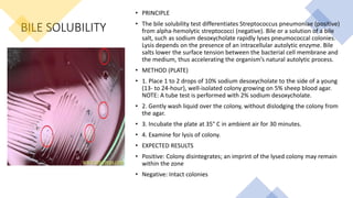 Identification of Staphylococcus and Streptococcus (1).pdf
