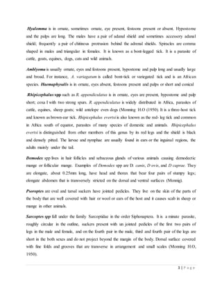Identification of ticks and mites | DOCX